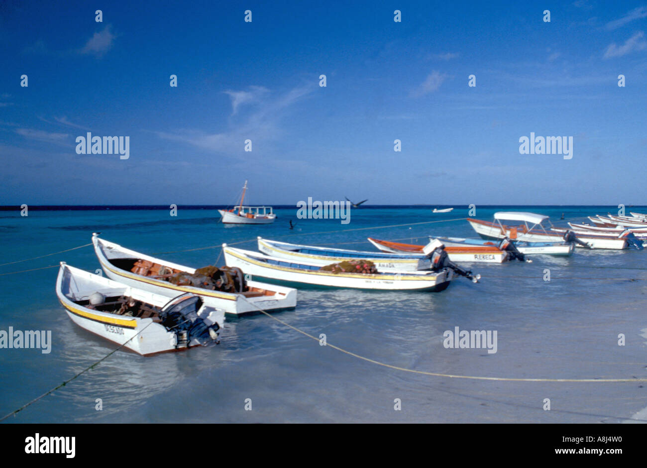 Los Roques Venezuela Fishing High Resolution Stock Photography and ...