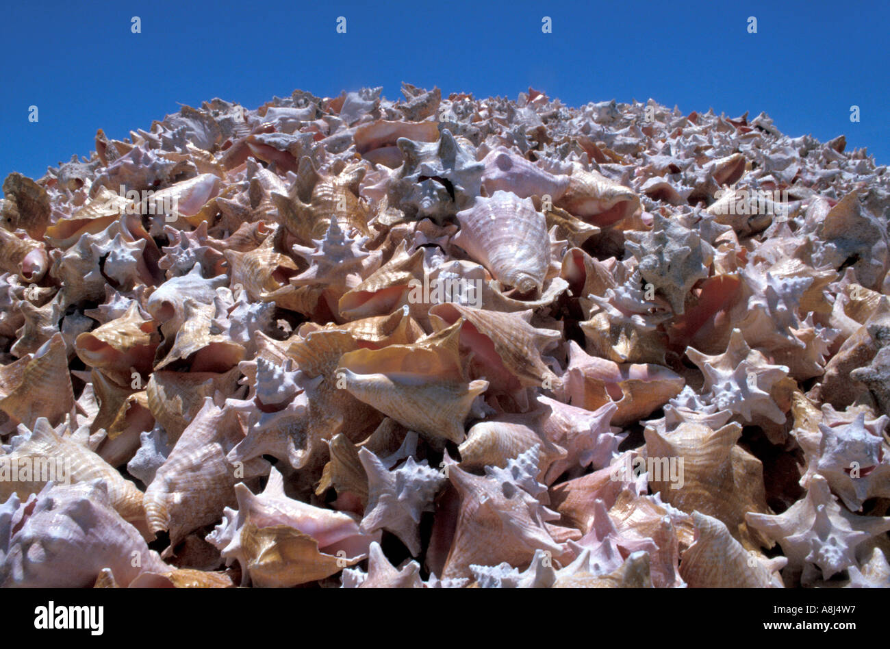 Overharvesting hi-res stock photography and images - Alamy