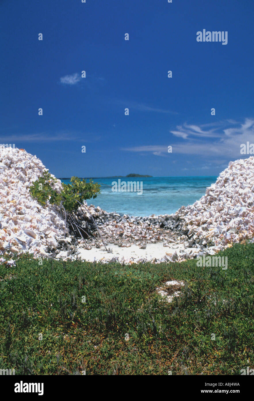 Los Roques Archipelago Venezuela, conch shell piles Stock Photo - Alamy