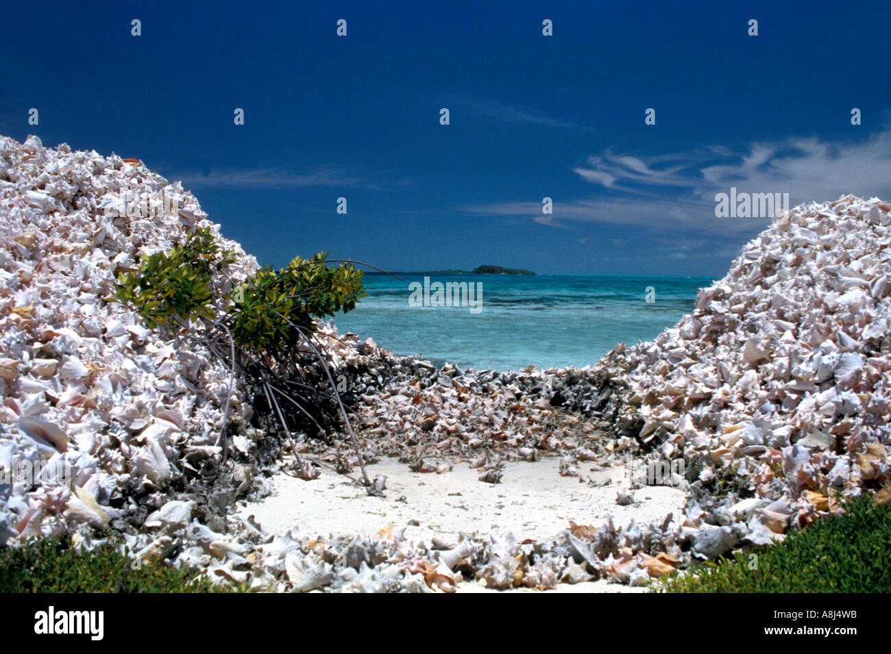 Los Roques Archipelago Venezuela, conch shell piles Stock Photo - Alamy