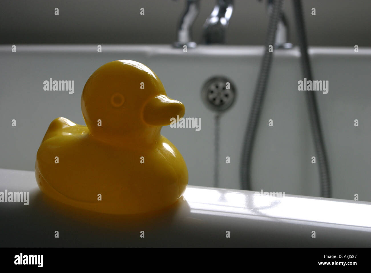 Rubber duck bath hi-res stock photography and images - Alamy