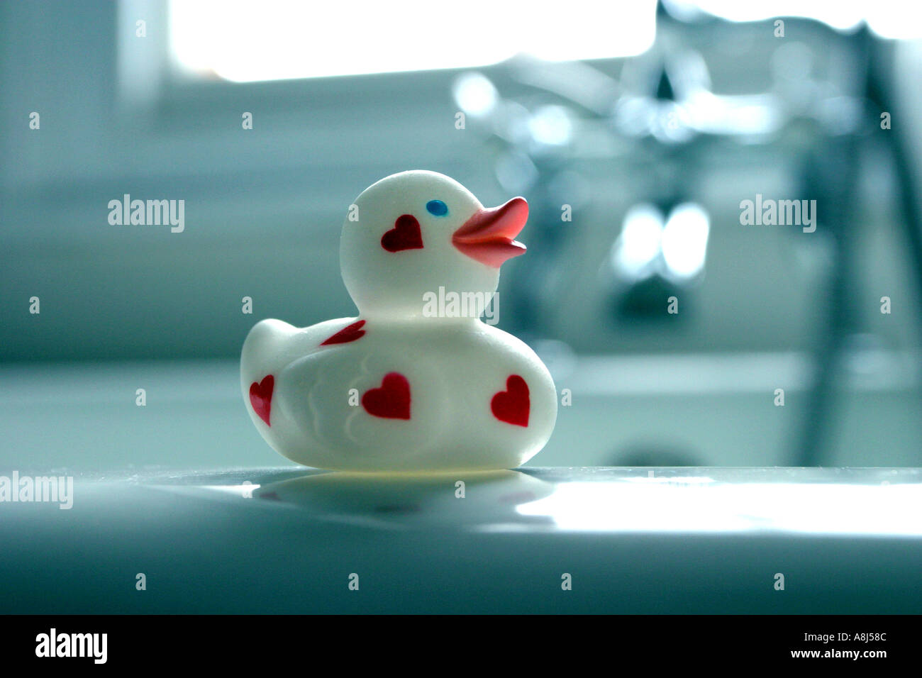 Rubber duck bath hi-res stock photography and images - Alamy