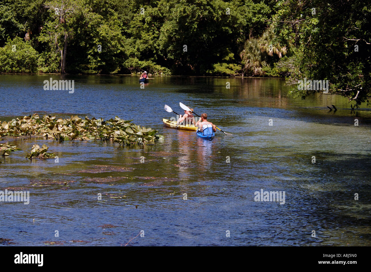 Florida wilderness kayaking Stock Photo - Alamy
