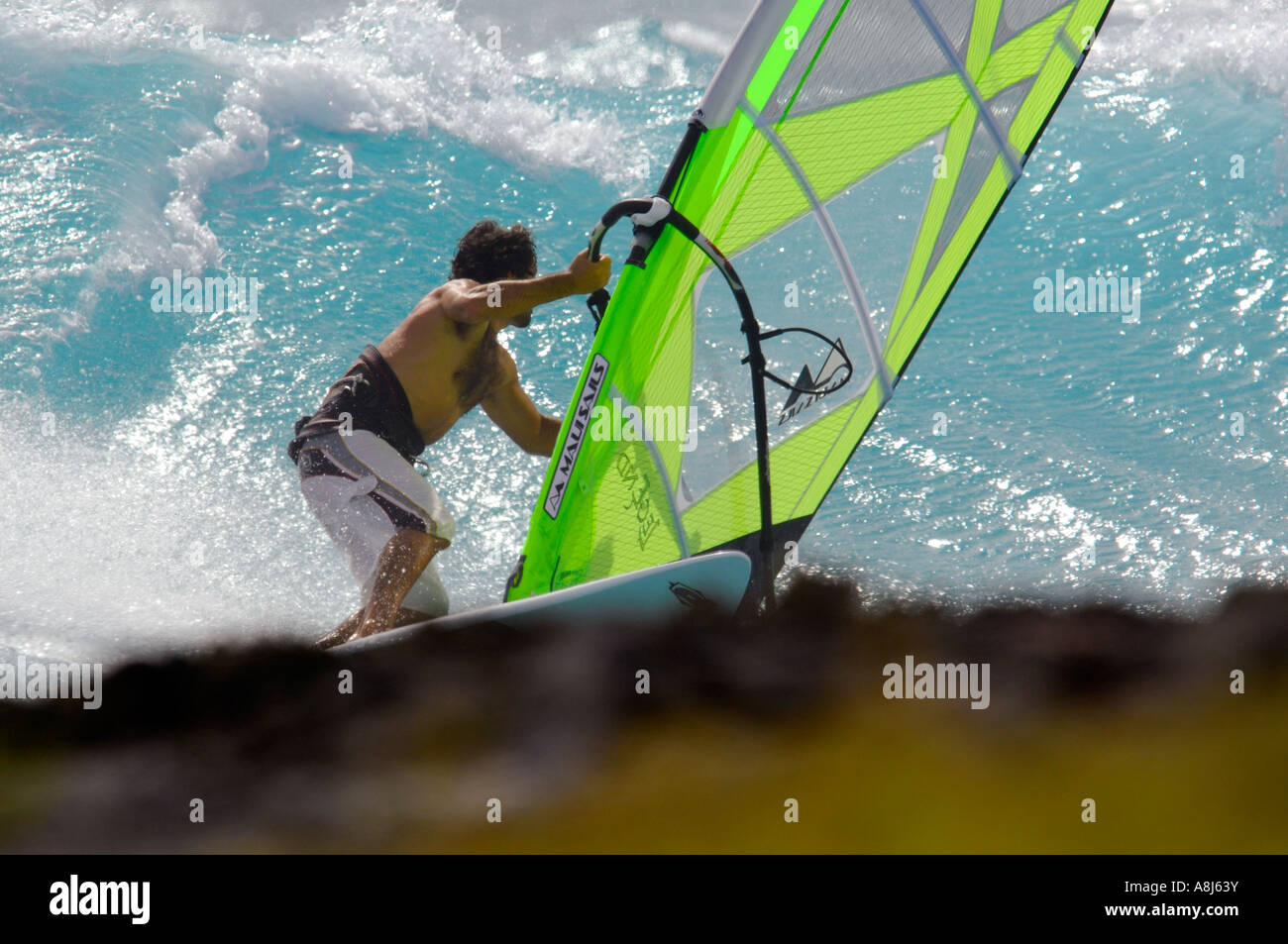 Windsurfing mid adult men on the water hit wave lip place Barbados mide ...