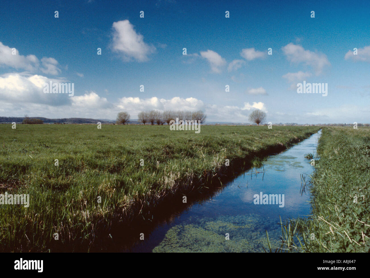 The Somerset Levels Somerset UK Stock Photo - Alamy