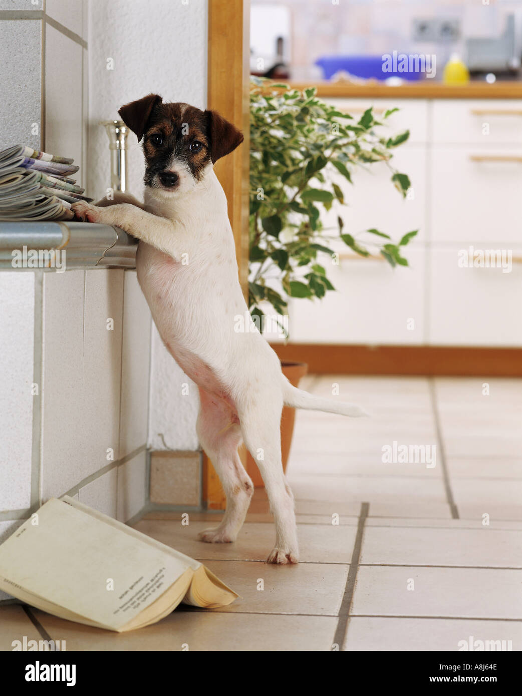 Flat within hi-res stock photography and images - Alamy