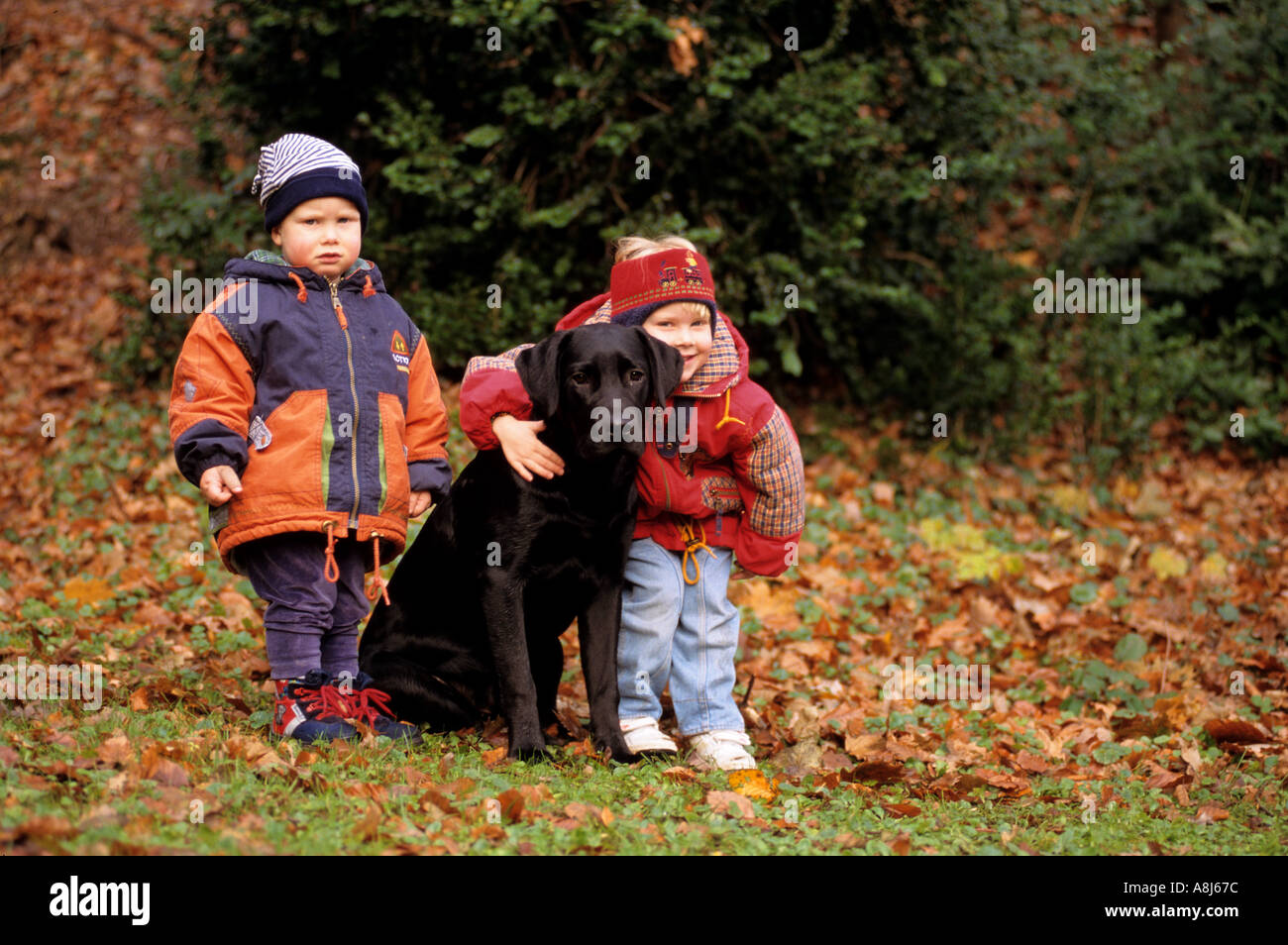 black Labrador Retriever dog and two children Stock Photo - Alamy