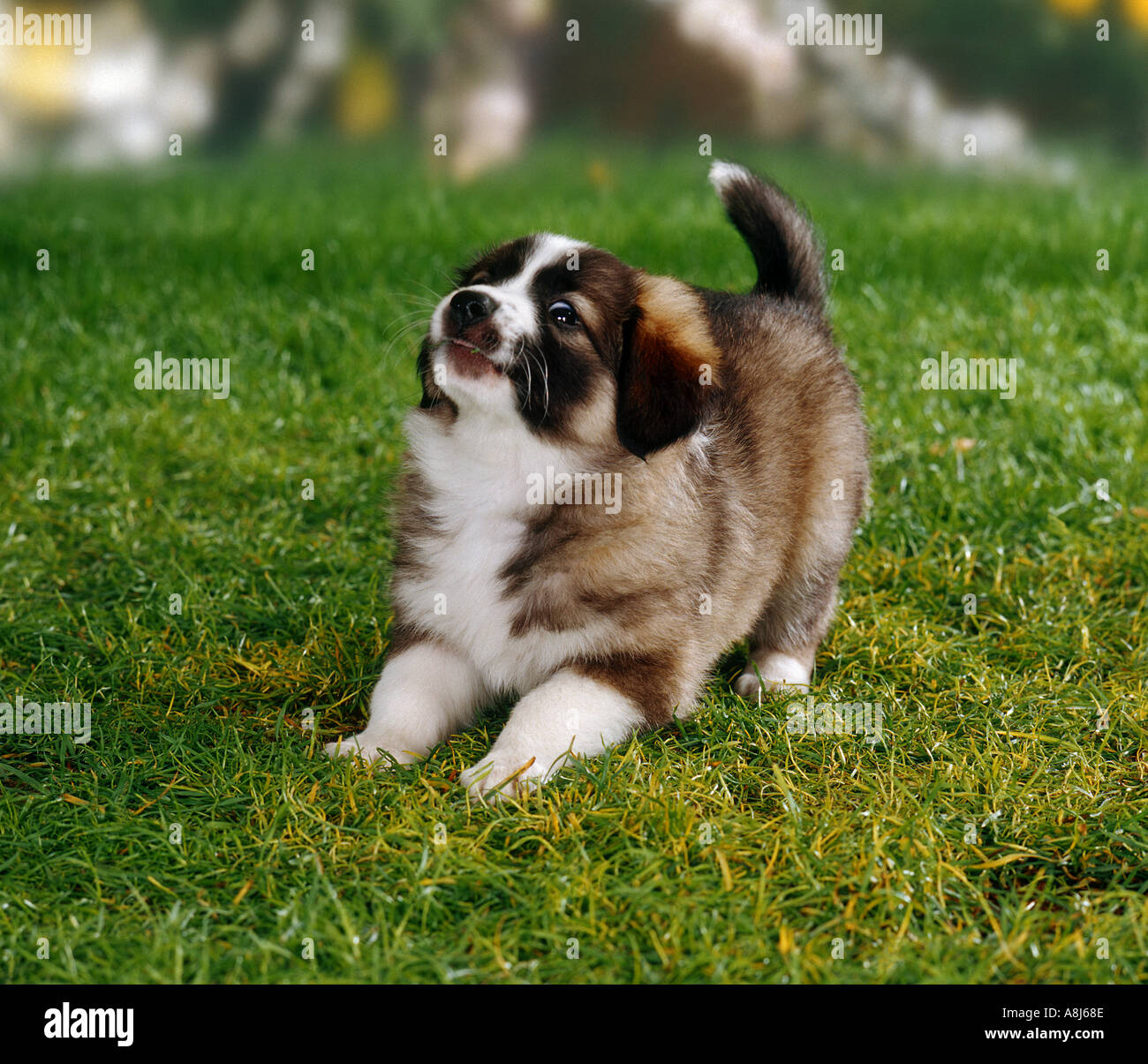 Wanting order hi-res stock photography and images - Alamy
