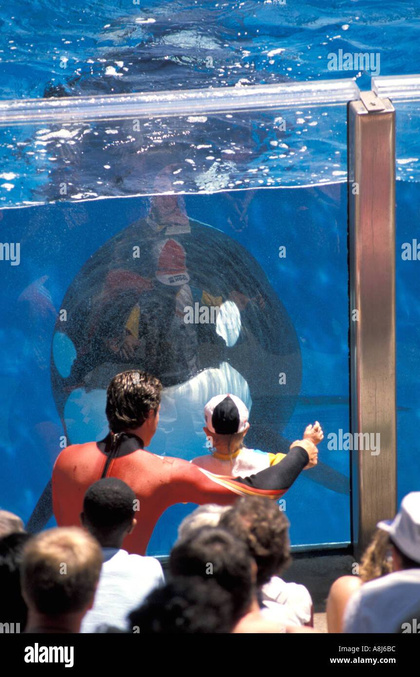 SeaWorld Orlando FL Shamu Stadium Stock Photo - Alamy