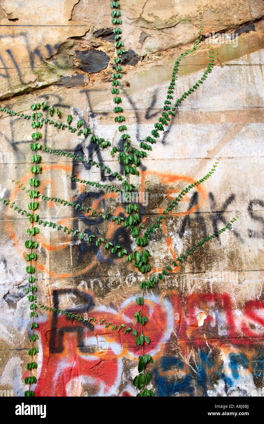 Concrete wall covered with graffiti and plant growth Stock Photo - Alamy
