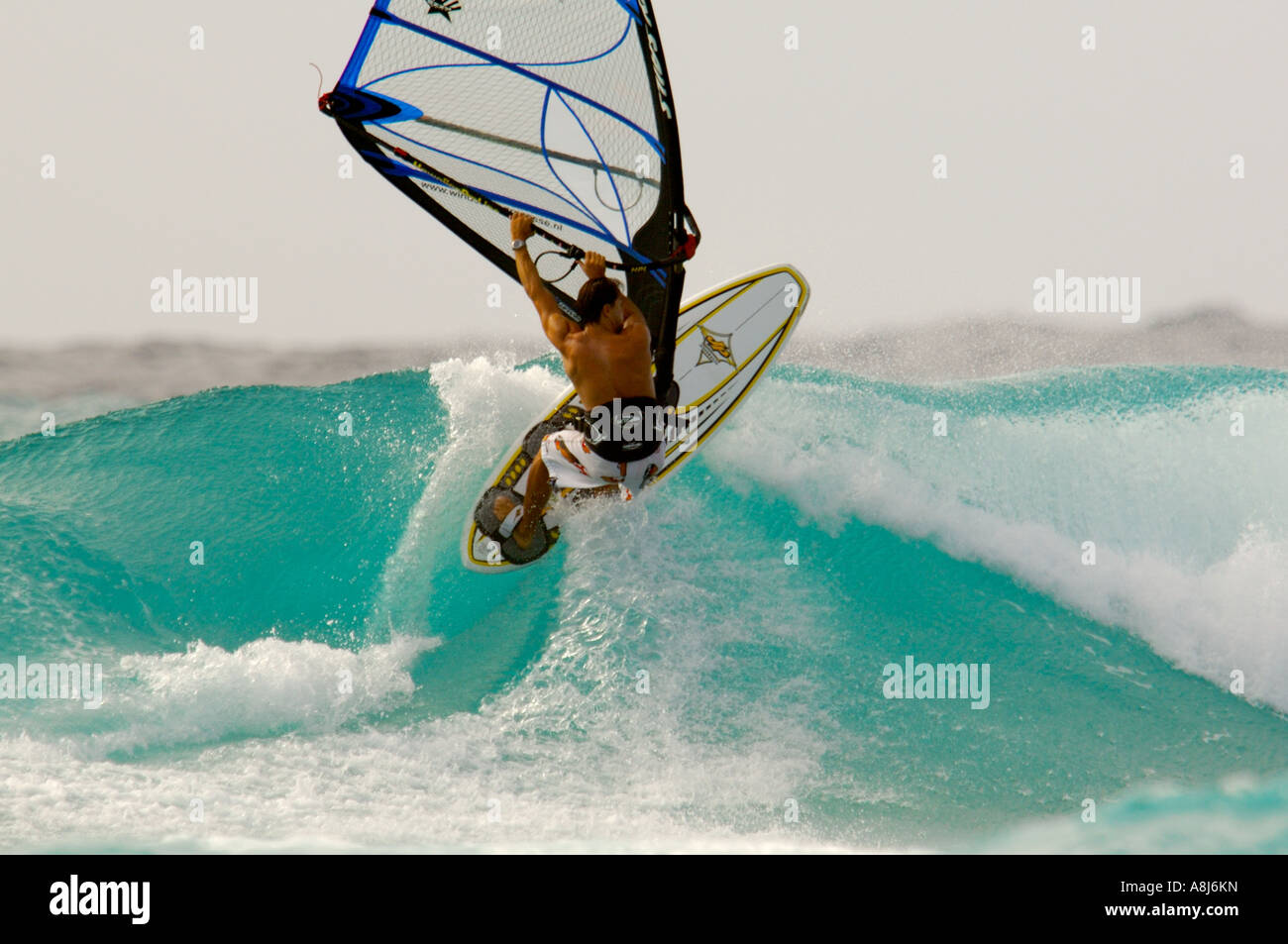 Windsurfing on Barbados men on the bleu wave s going up Stock Photo - Alamy
