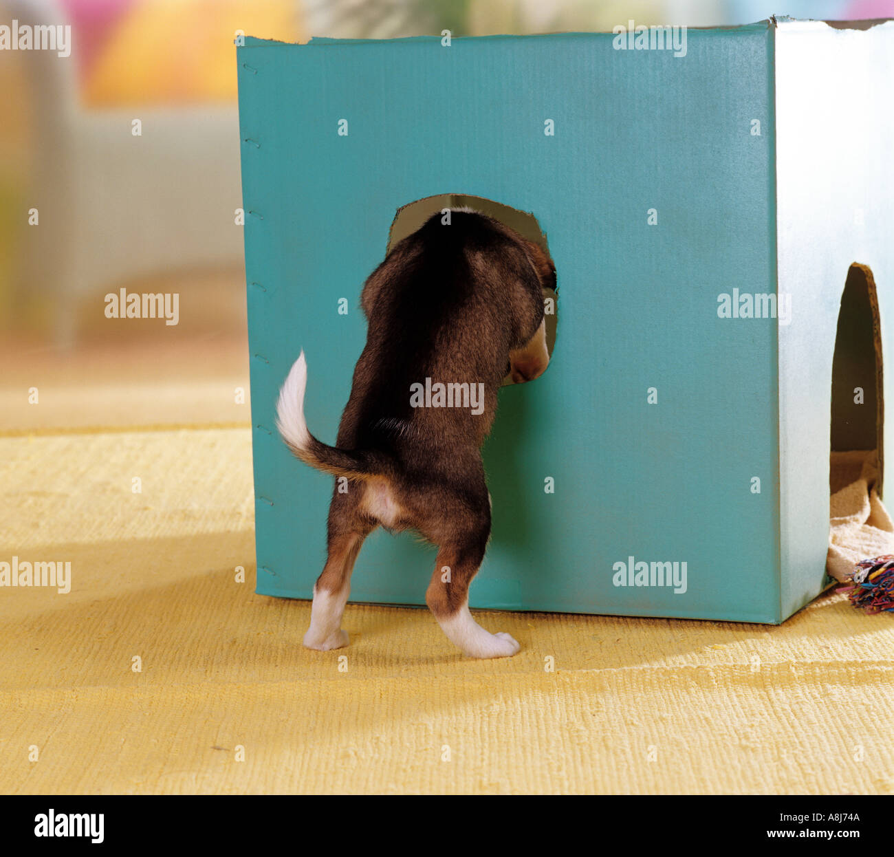 Box within a box hi-res stock photography and images - Alamy