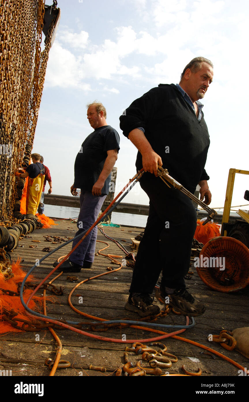 United Fish Auctions detail fisheries fish branches box stock fish ...