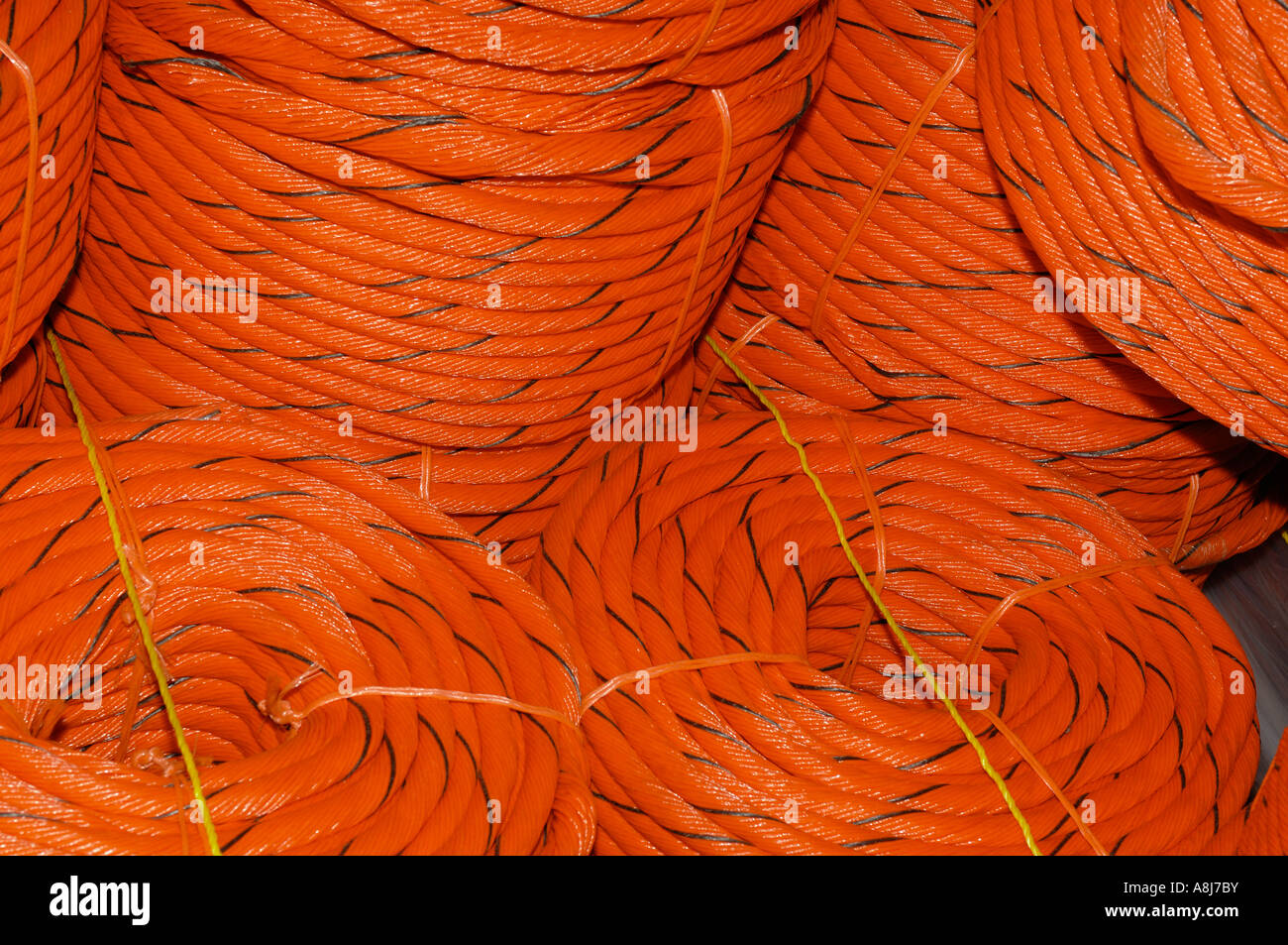 United Fish Auctions detail fisheries fish branches box stock fish ...