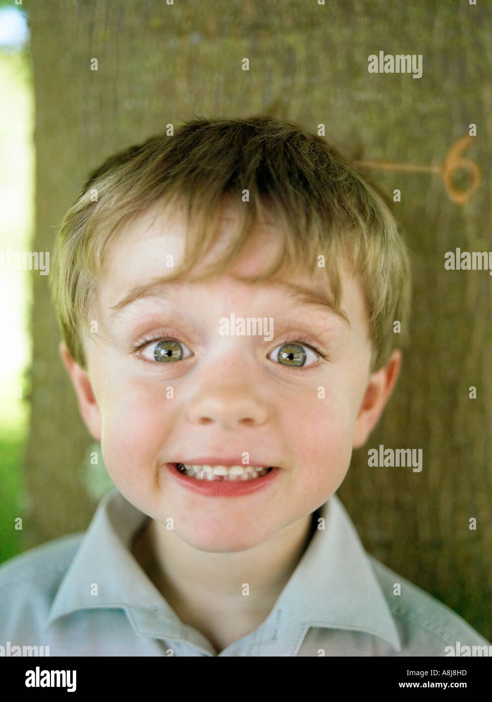 cheeky looking school boy Stock Photo - Alamy