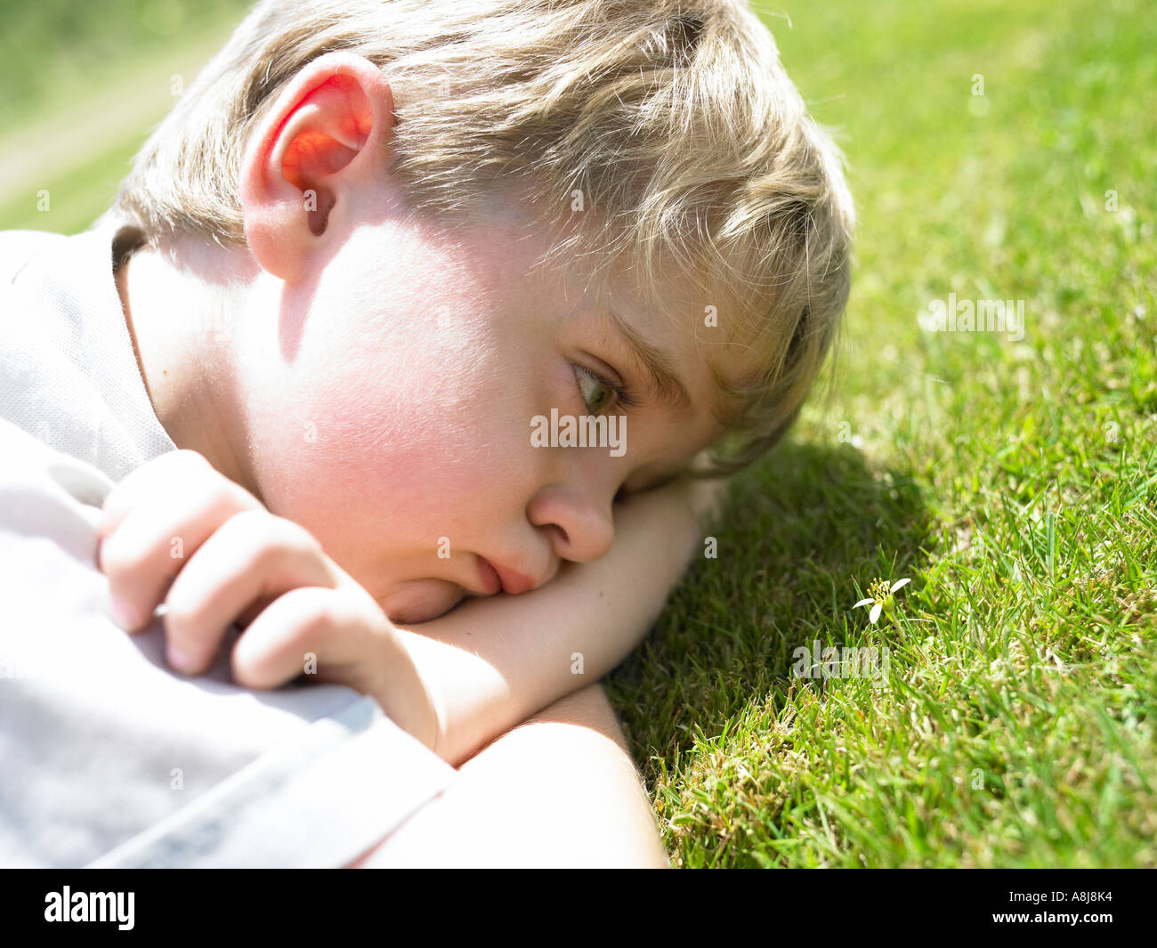boy laying on grass arms folded watching flower Stock Photo - Alamy