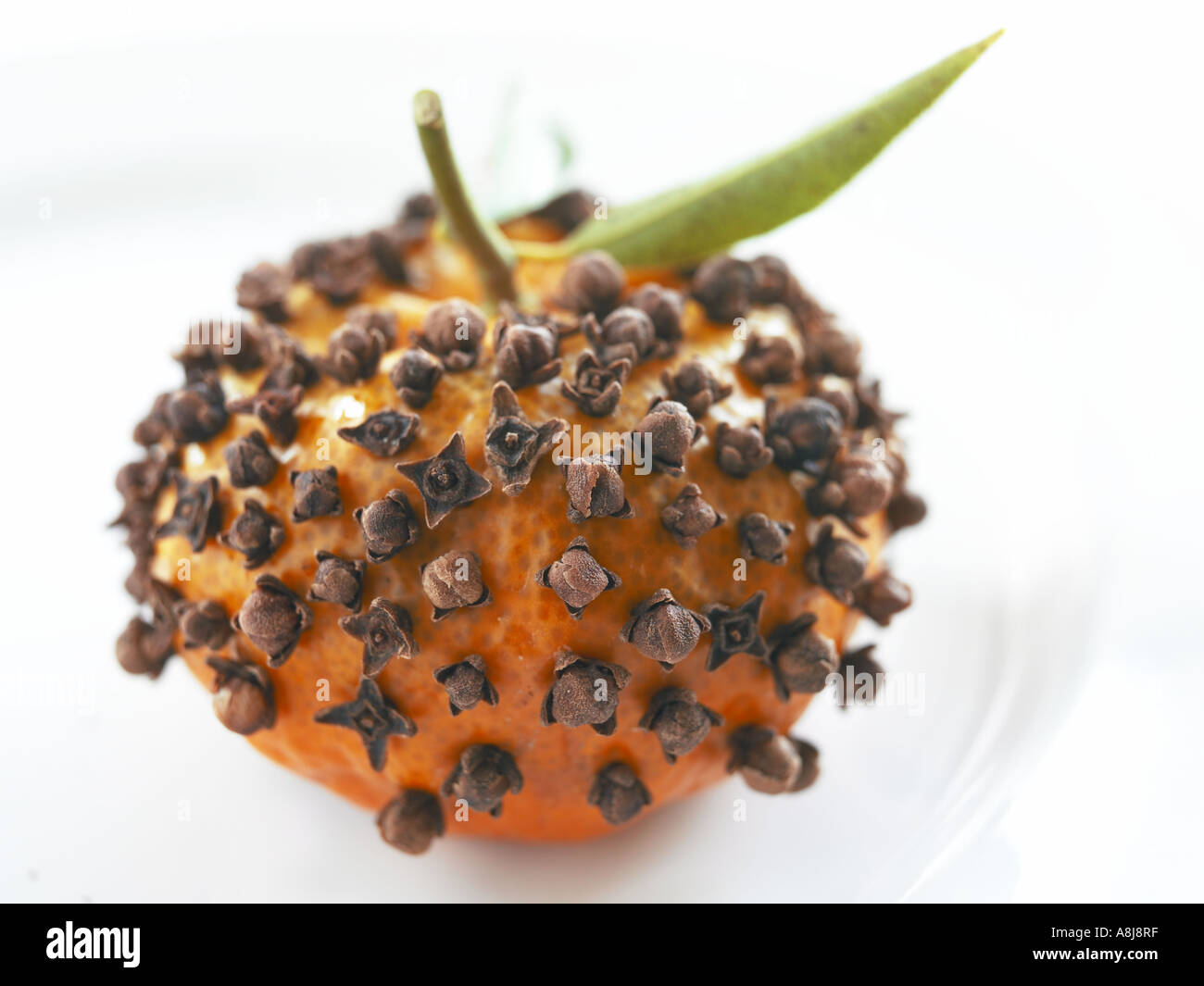 festive satsuma orange with two leaves studded with clove spices ...