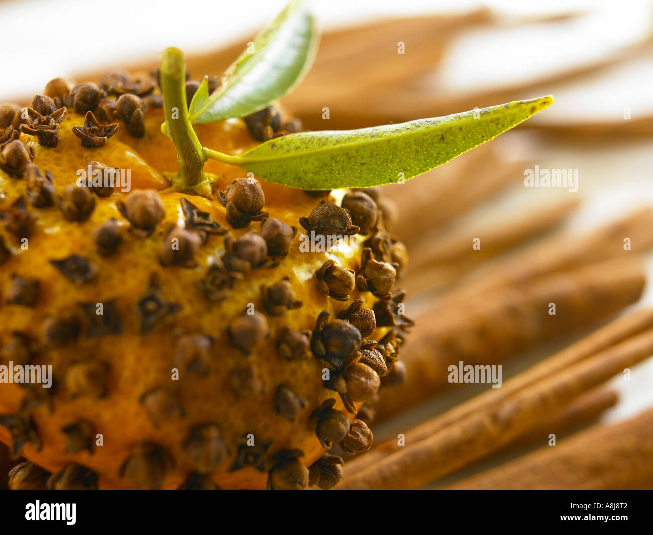 Satsuma mandarin tree hi-res stock photography and images - Alamy