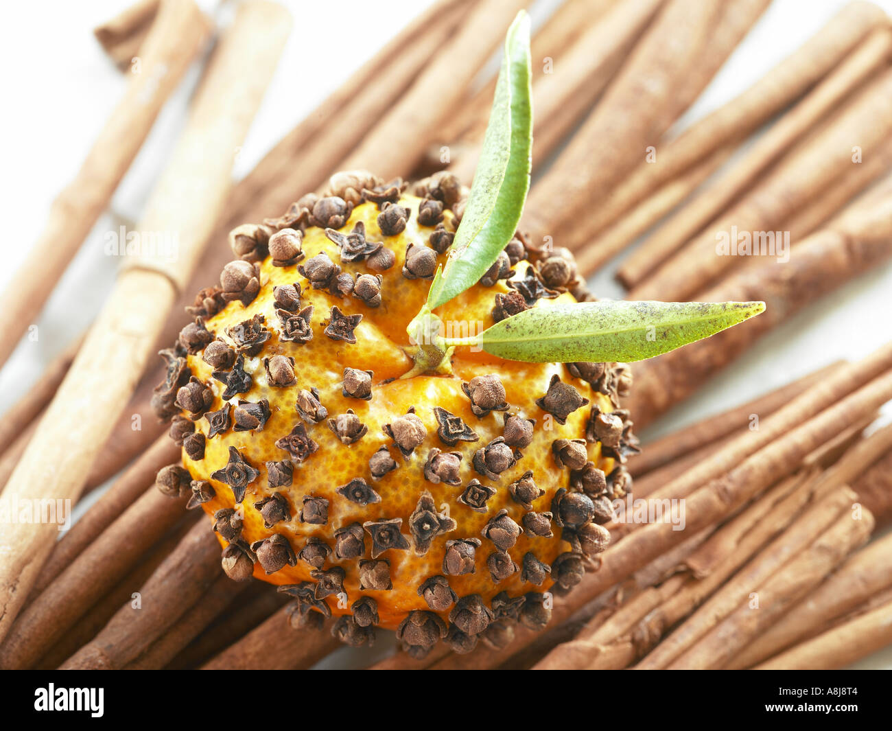 festive satsuma orange with two leaves studded with clove spices ...
