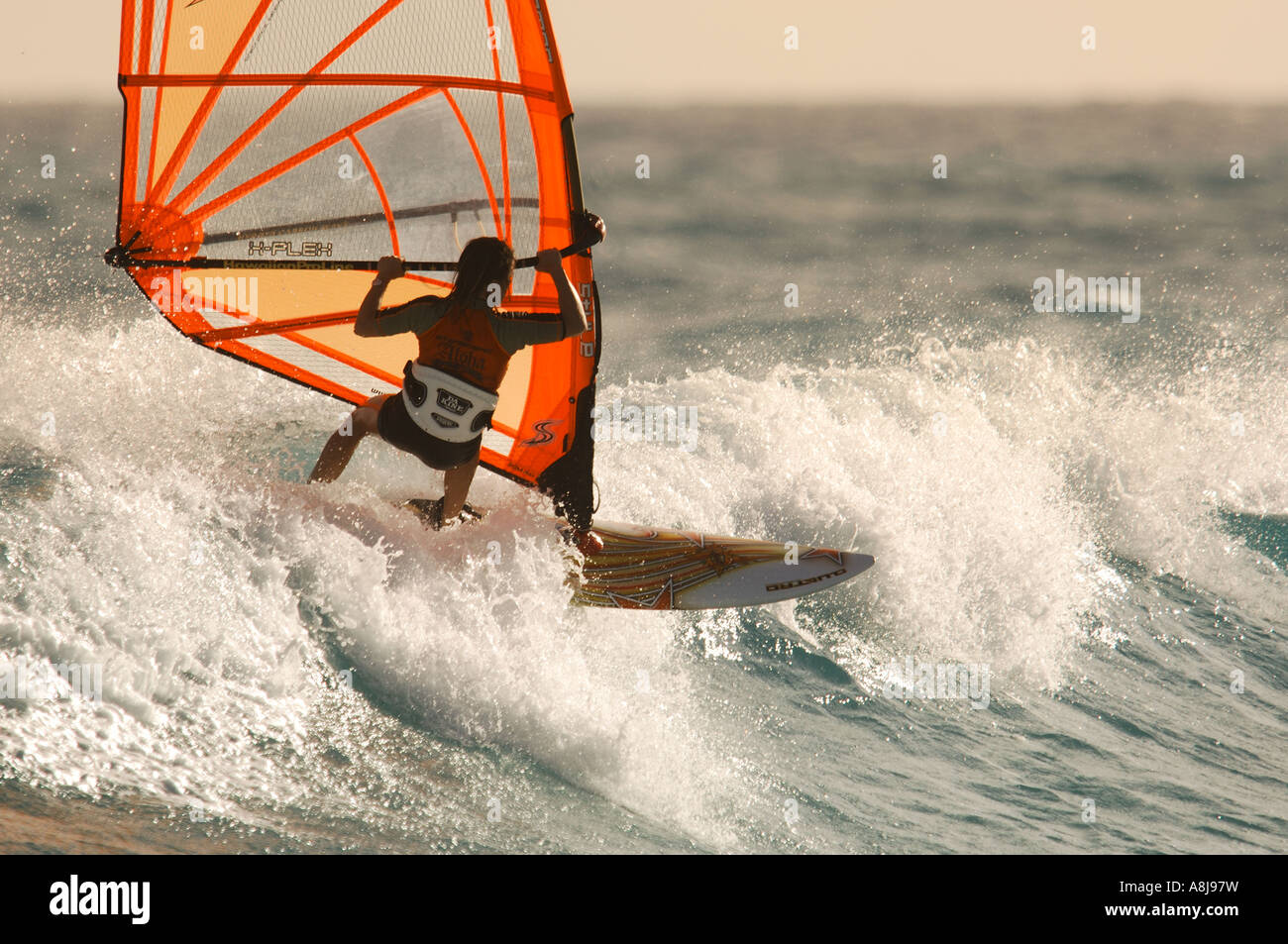 French women on the wave place sea by Barbados Stock Photo - Alamy