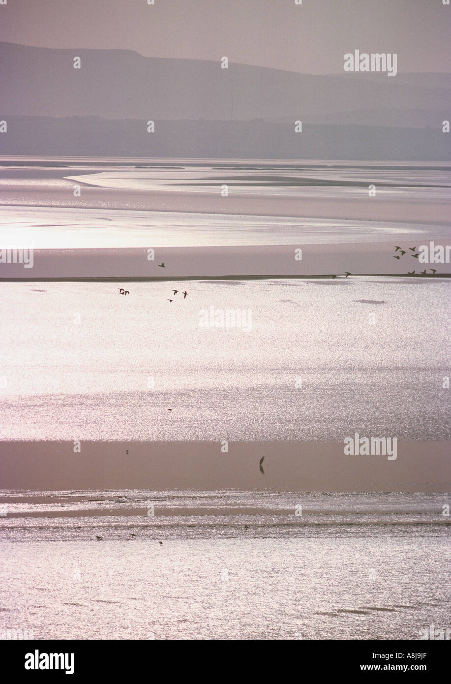 Quicksand hi-res stock photography and images - Alamy