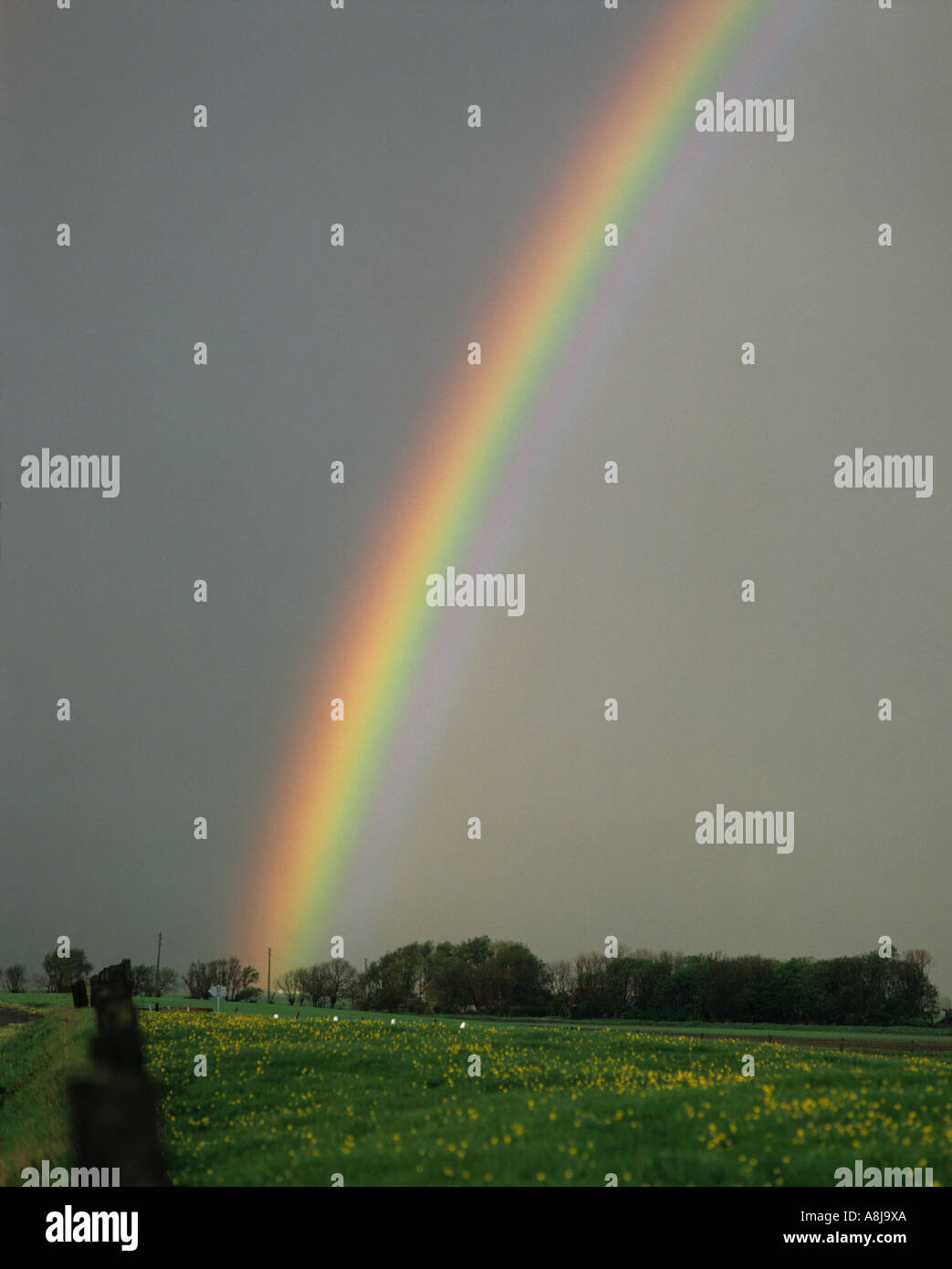 Spectrum fields hi-res stock photography and images - Alamy