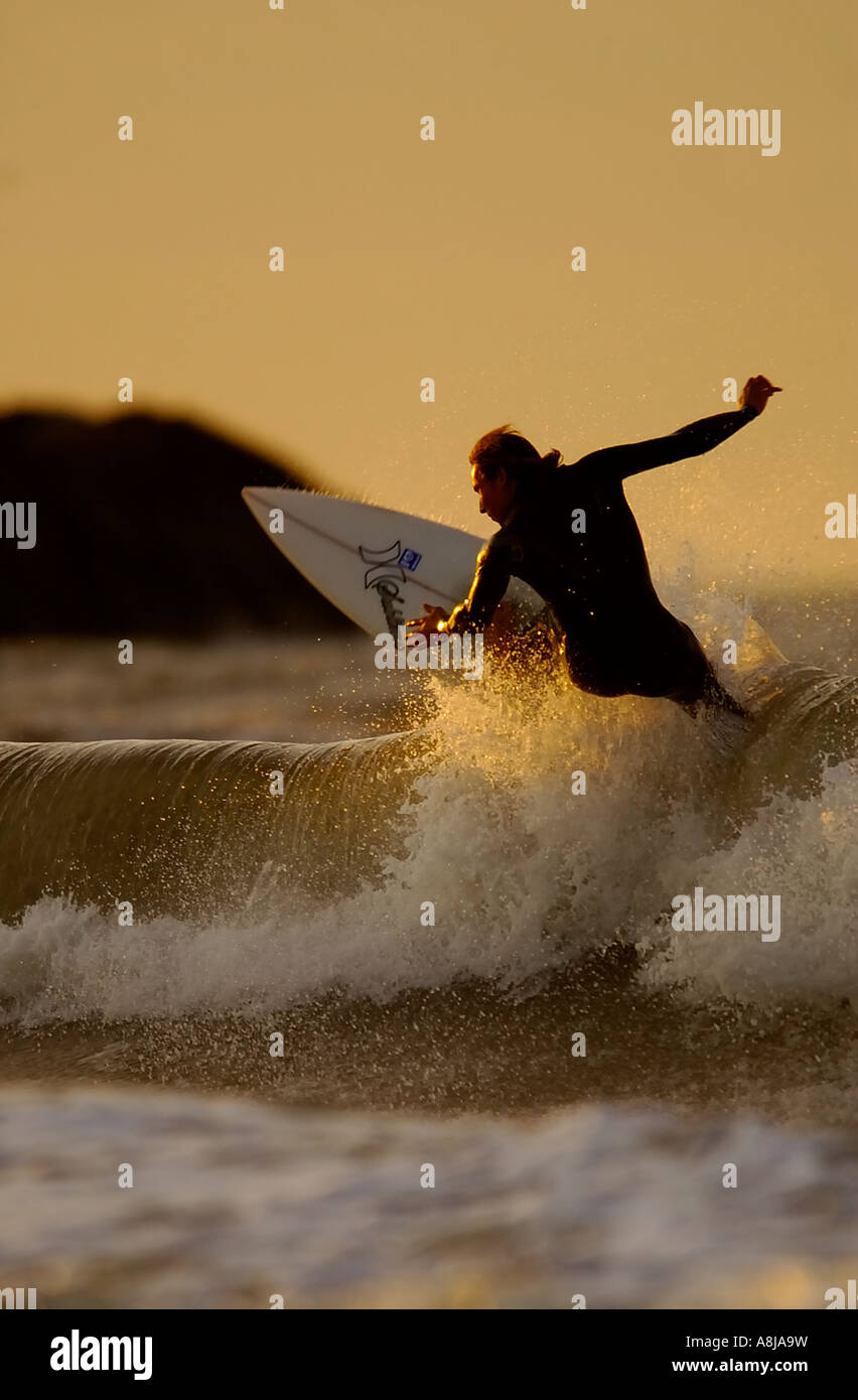 wave surfing 2006 city place Scheveningen beach Zuid Holland gold light ...