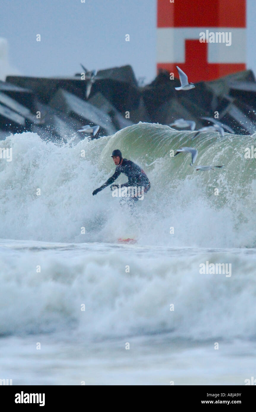 wave surfing 2006 city place Scheveningen beach Zuid Holland on a ...