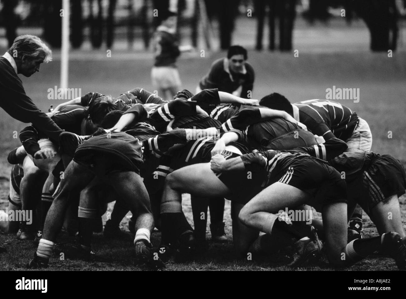 men playing rugby Stock Photo - Alamy