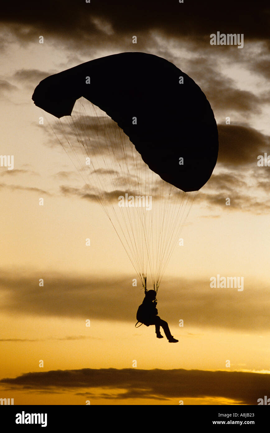 Athletic man plane hi-res stock photography and images - Alamy