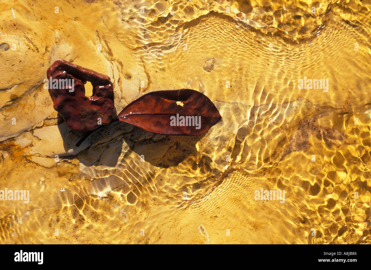 Natural artistic patterns water hi-res stock photography and images - Alamy