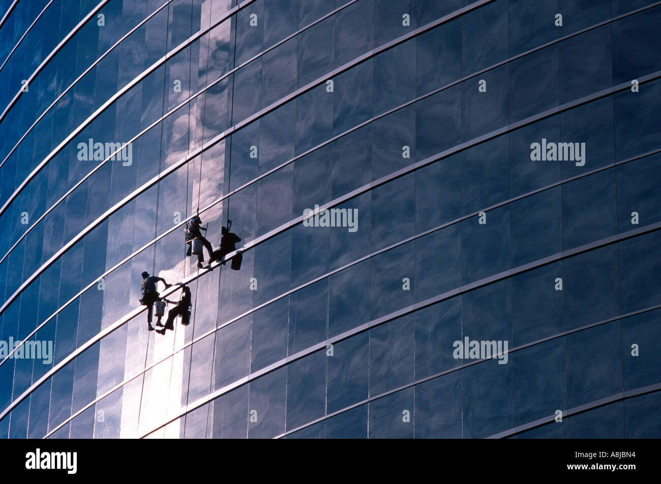 Two men cleaning windows on high rise building, Phoenix, Arizona, USA ...