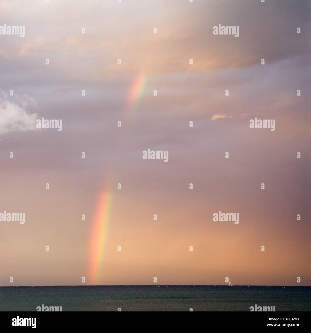 Rainbow spreading across sky on coast in Maui Hawaii Stock Photo - Alamy