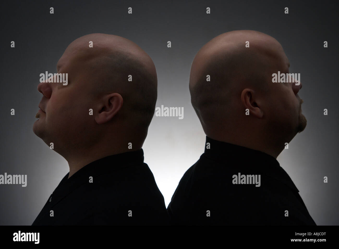 Identical twins male adult hi-res stock photography and images - Alamy