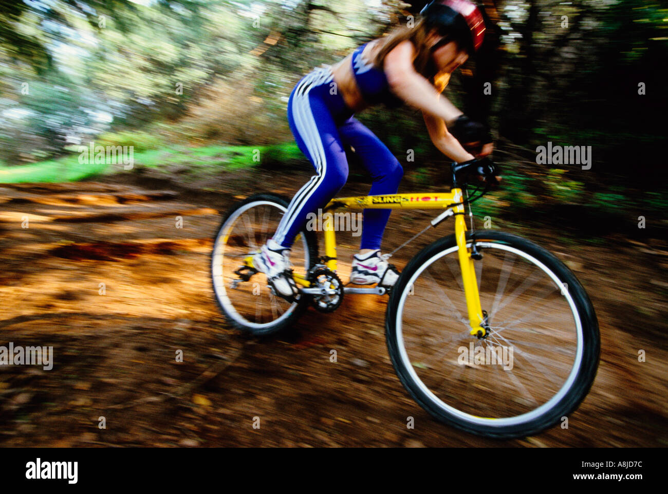 Griffith park los angeles bike hi-res stock photography and images - Alamy