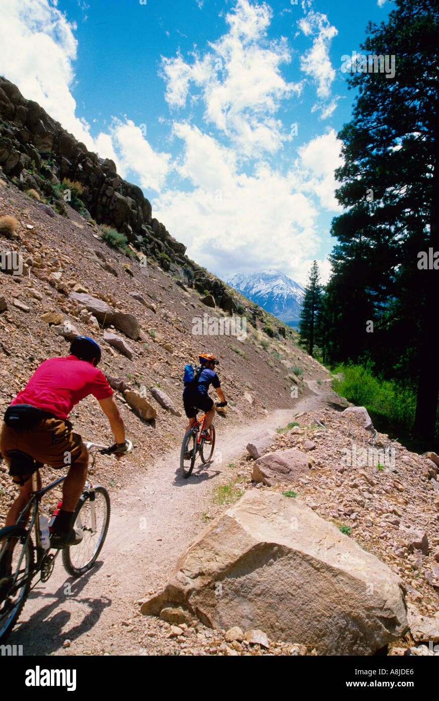 Sport Sports Mountain Biking Stock Photo - Alamy