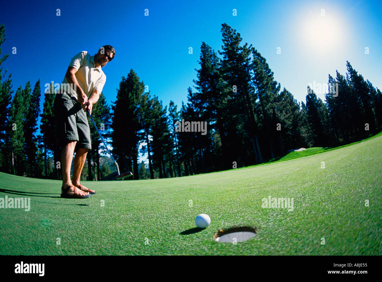 A golfer putting Stock Photo - Alamy