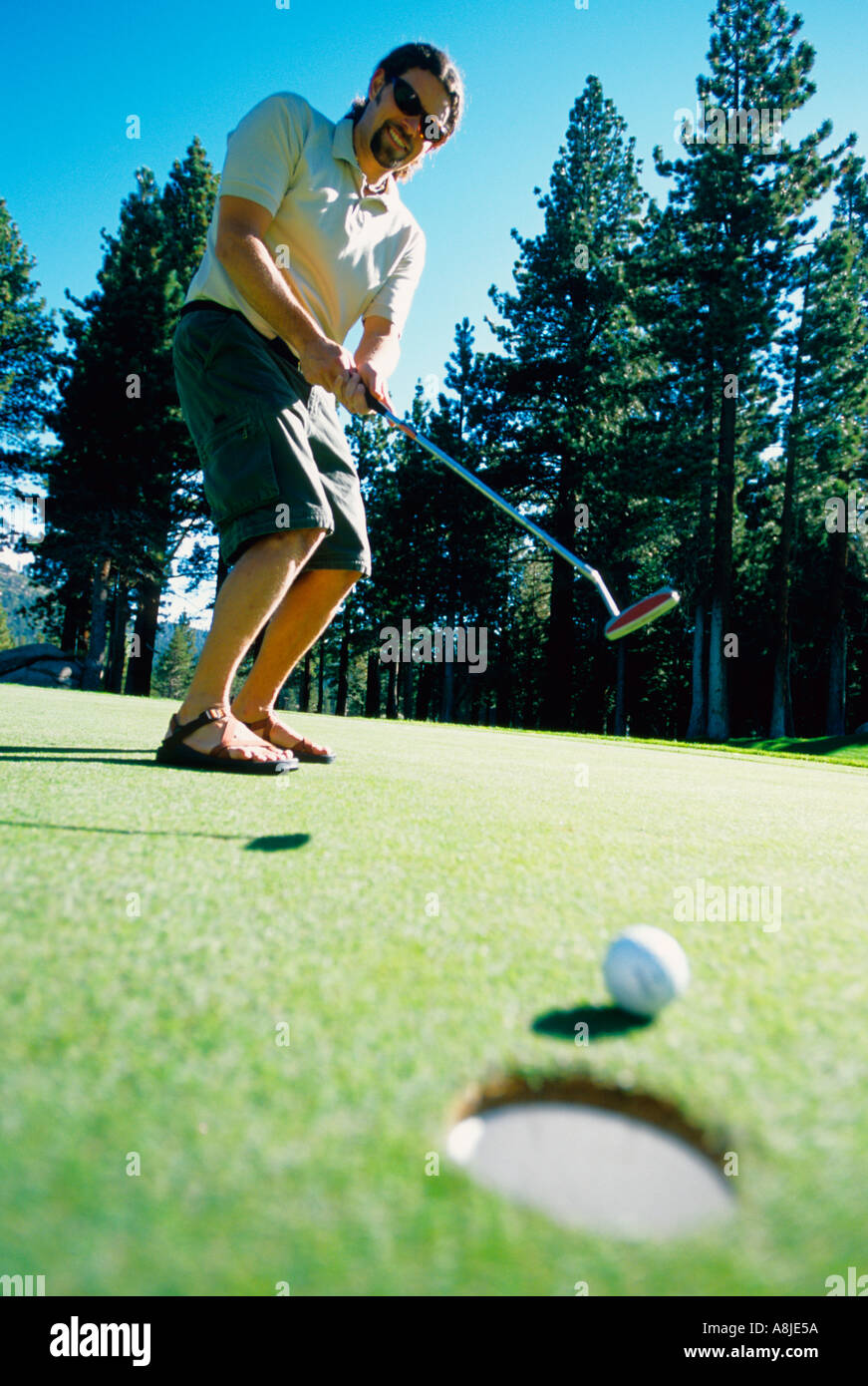 A golfer putting Stock Photo - Alamy