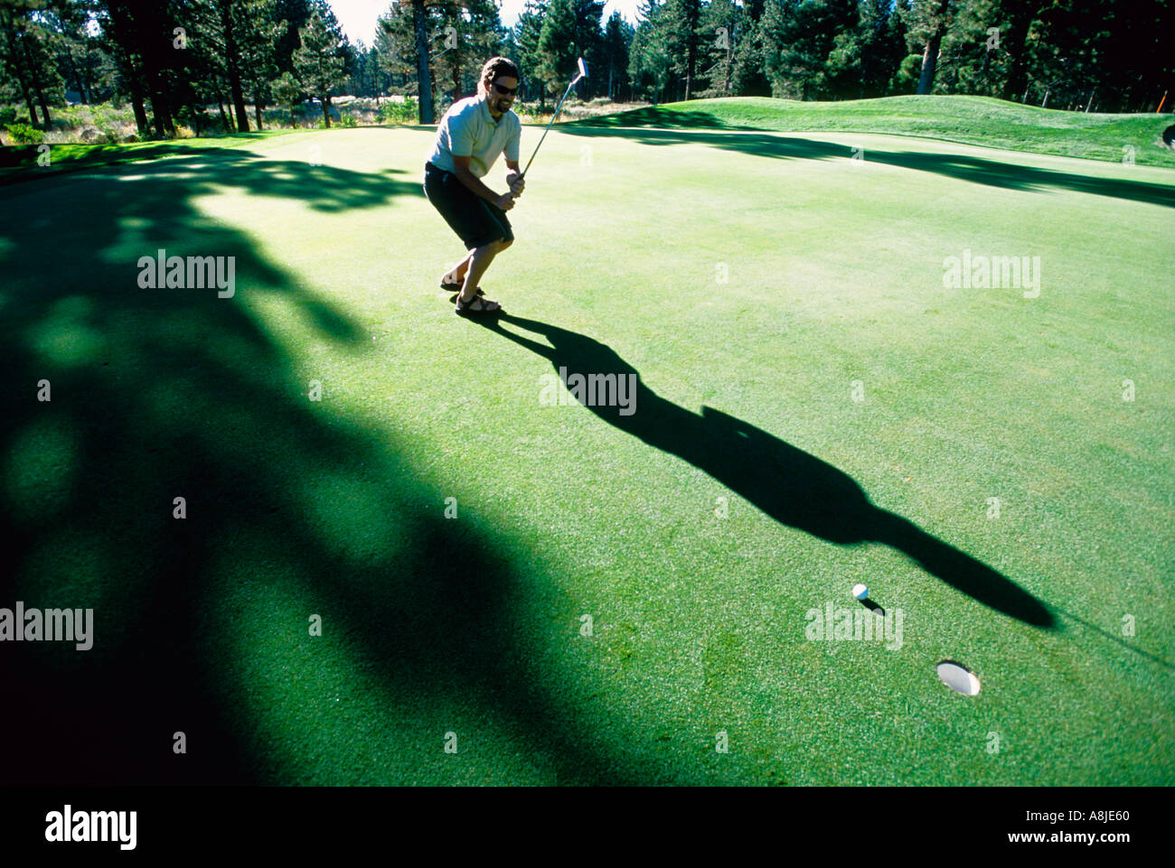 A golfer putting Stock Photo - Alamy