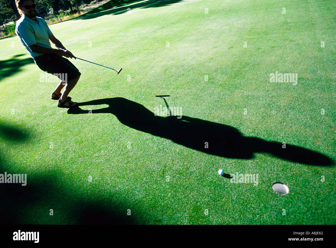 A golfer putting Stock Photo - Alamy
