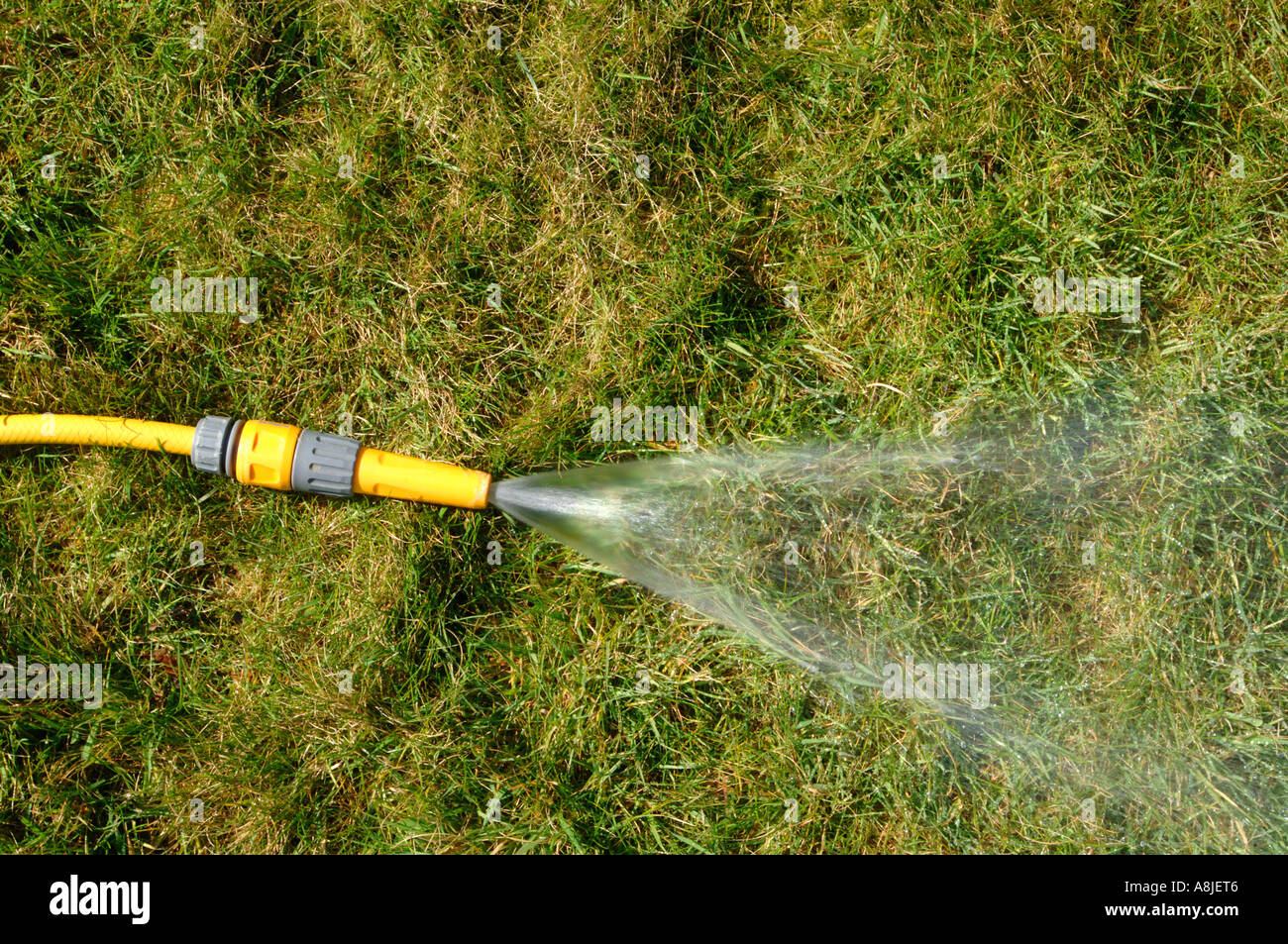 Hose hosepipe garden water Stock Photo - Alamy