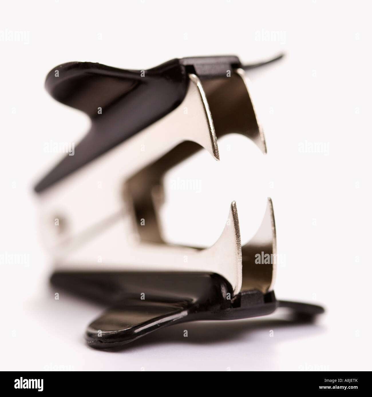 Staple remover on white background with selective focus Stock Photo - Alamy