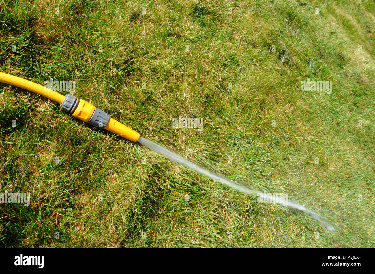 Hose hosepipe garden water Stock Photo - Alamy
