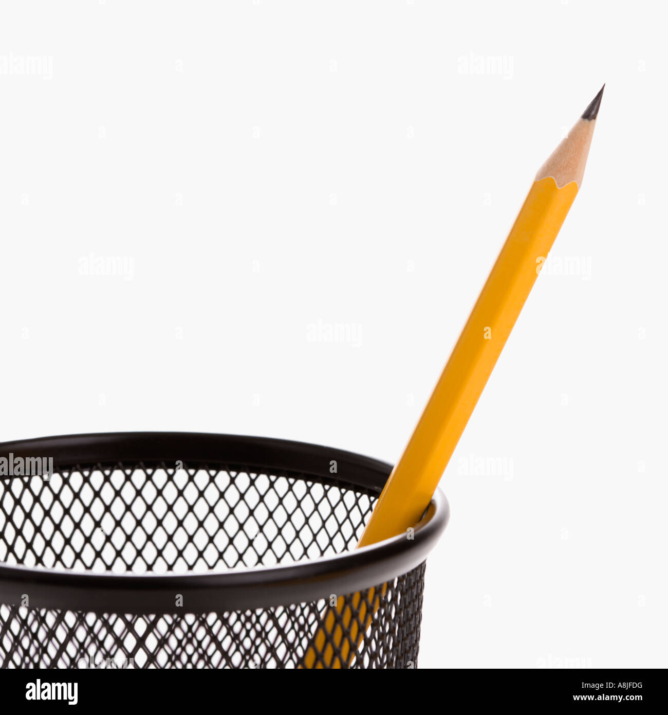 Single sharp pencil in a pencil holder Stock Photo - Alamy