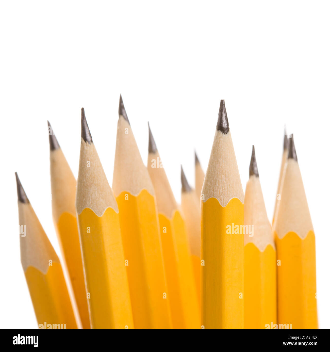 Close up of group of sharp pencils Stock Photo - Alamy