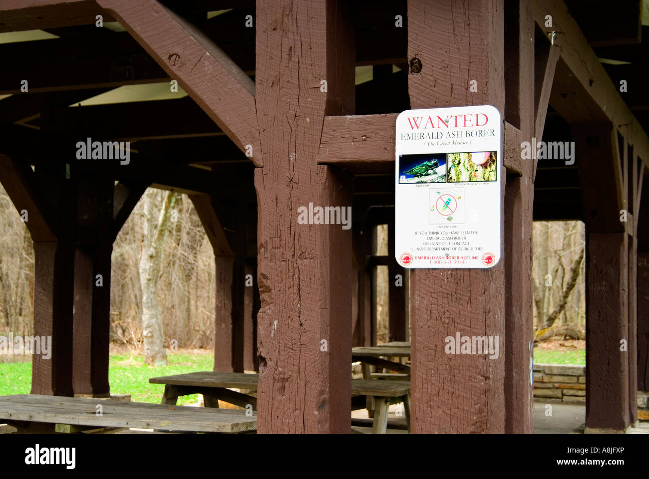 Emerald Ash Borer Warning Sign Stock Photo - Alamy