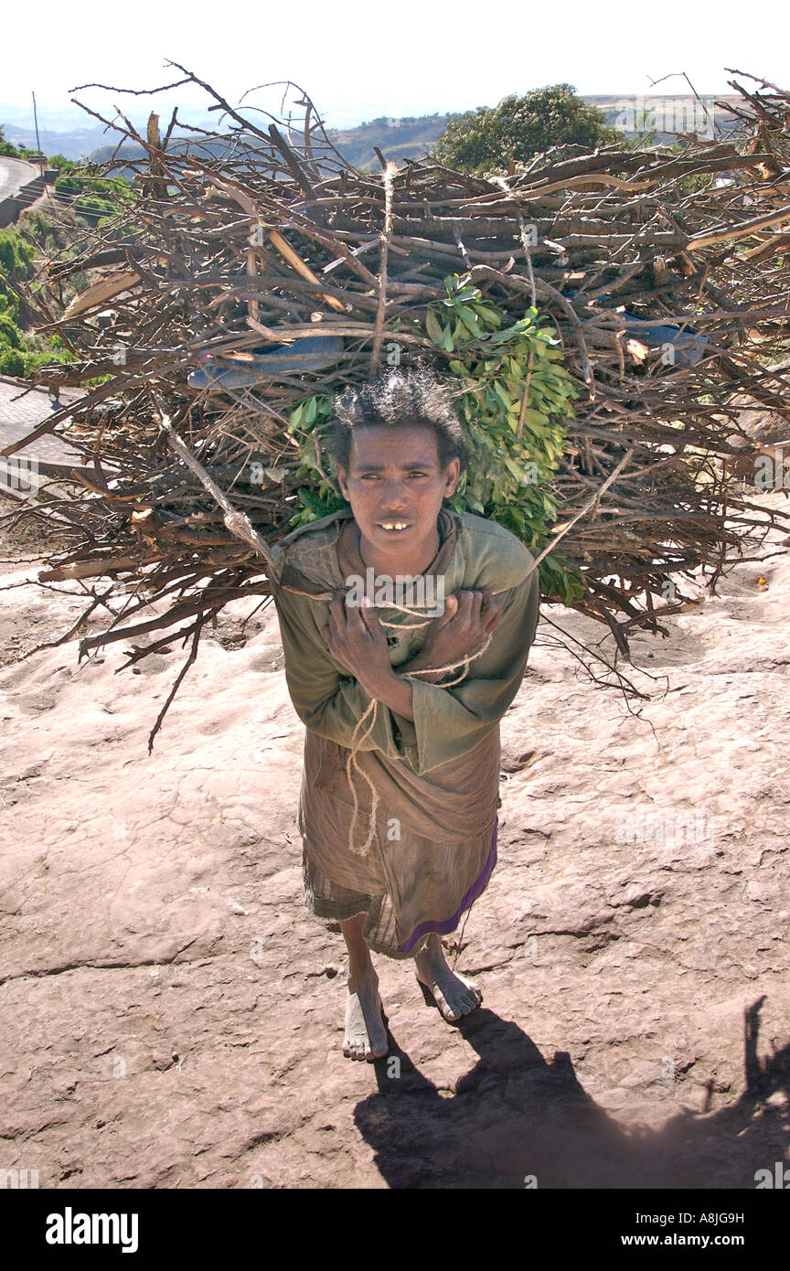 the wood carrier Stock Photo - Alamy