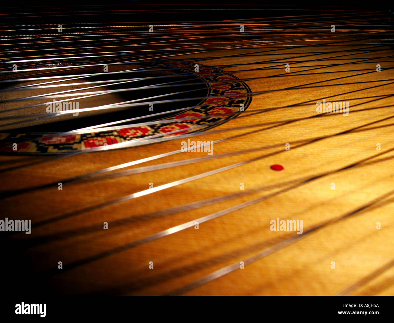 Kozak art music Ukrainian bandura kobza kobsa torban Stock Photo - Alamy