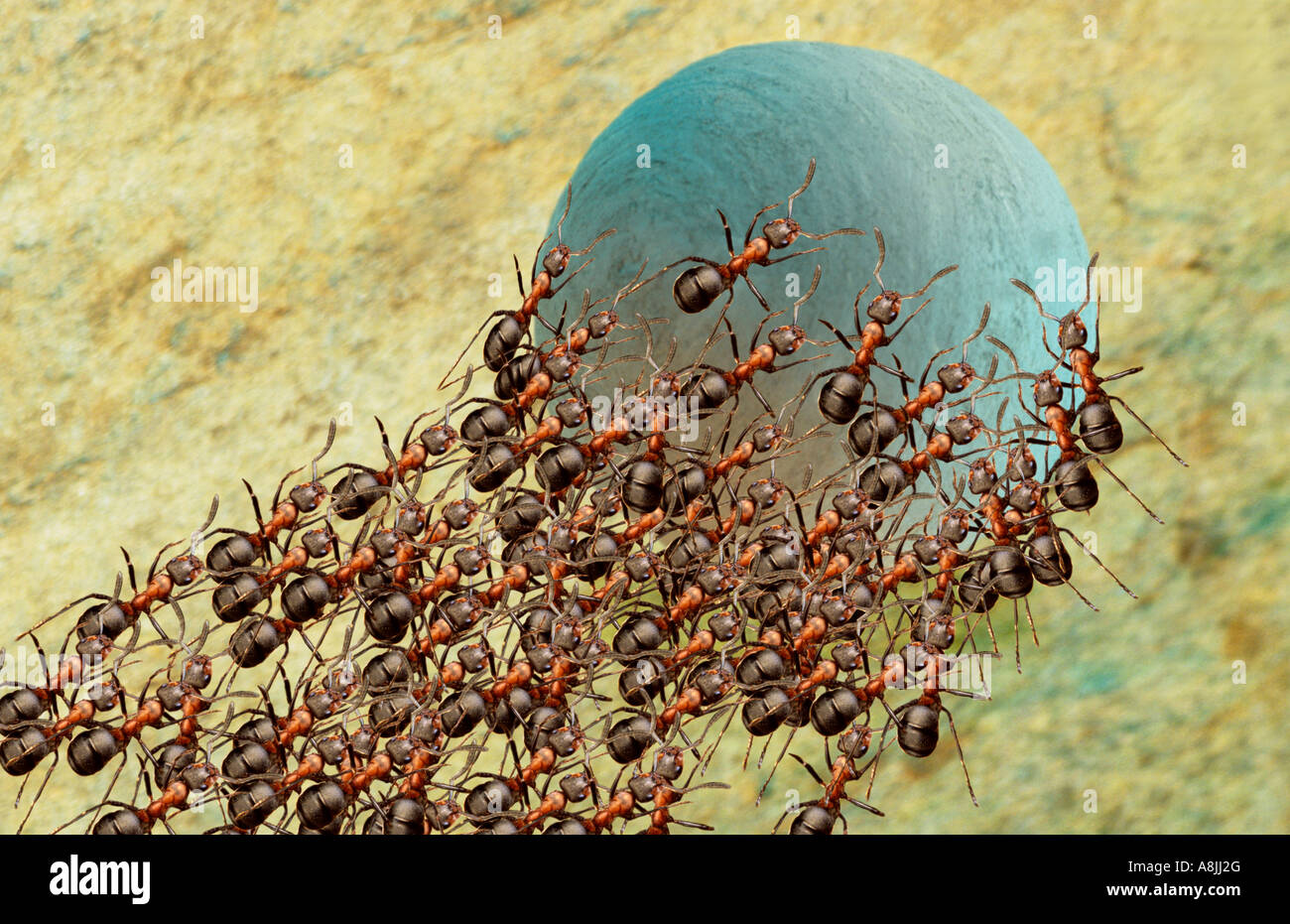 Gang unity hi-res stock photography and images - Alamy