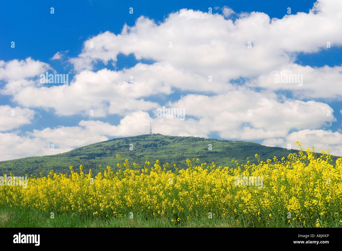 Sleza Mountain in the springtime Lower Silesia Poland Stock Photo - Alamy